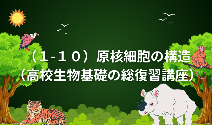 （1 10）原核細胞の構造（高校生物基礎の総復習講座） アラフォーパパのカテキョの記憶〜自分の子供に教えたい〜