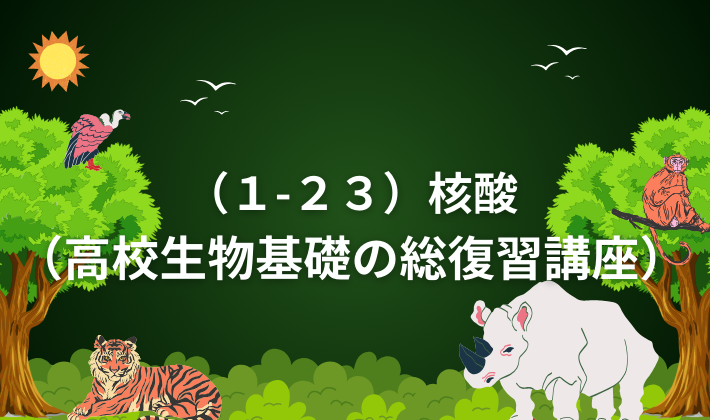 （1 23）核酸（高校生物基礎の総復習講座） アラフォーパパのカテキョの記憶〜自分の子供に教えたい〜