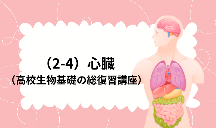 （2 4）心臓（高校生物基礎の総復習講座） アラフォーパパのカテキョの記憶〜自分の子供に教えたい〜